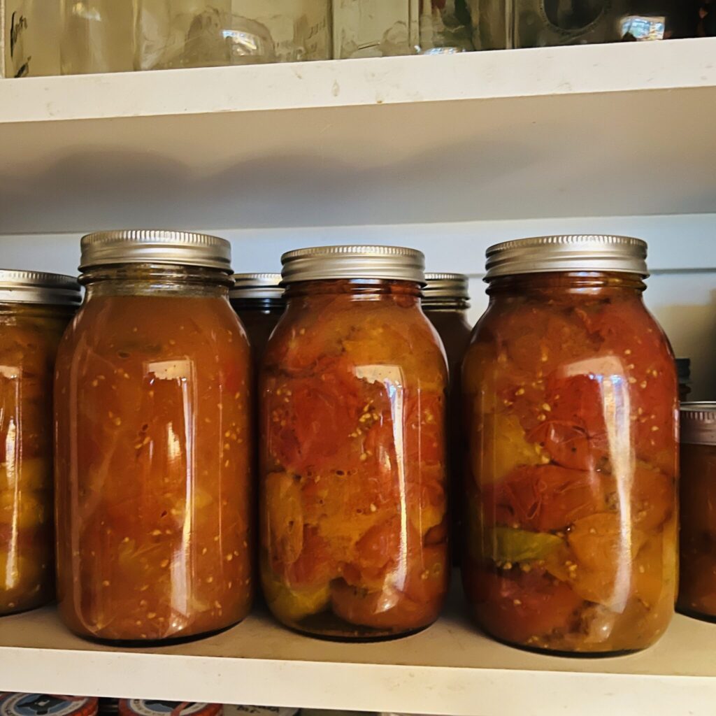 Organic Seed Collection - Food Preservation