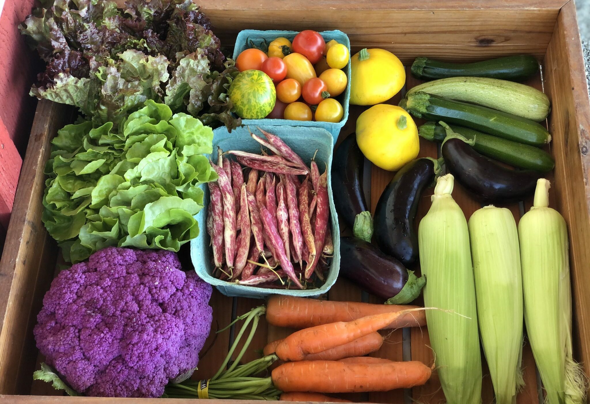 Join Our Farm Share (CSA) - Deep Harvest Farm